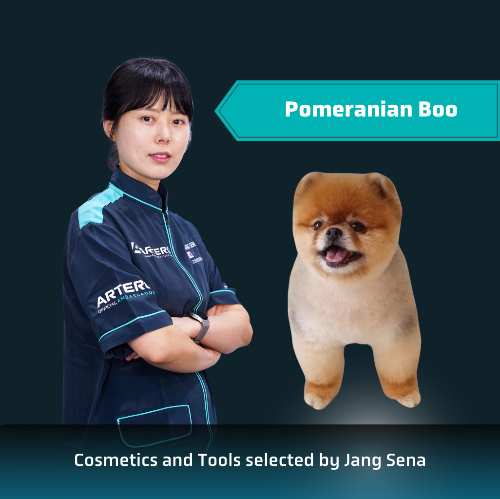 Pomeranian Boo by Jang Sena – ARTERO Singapore